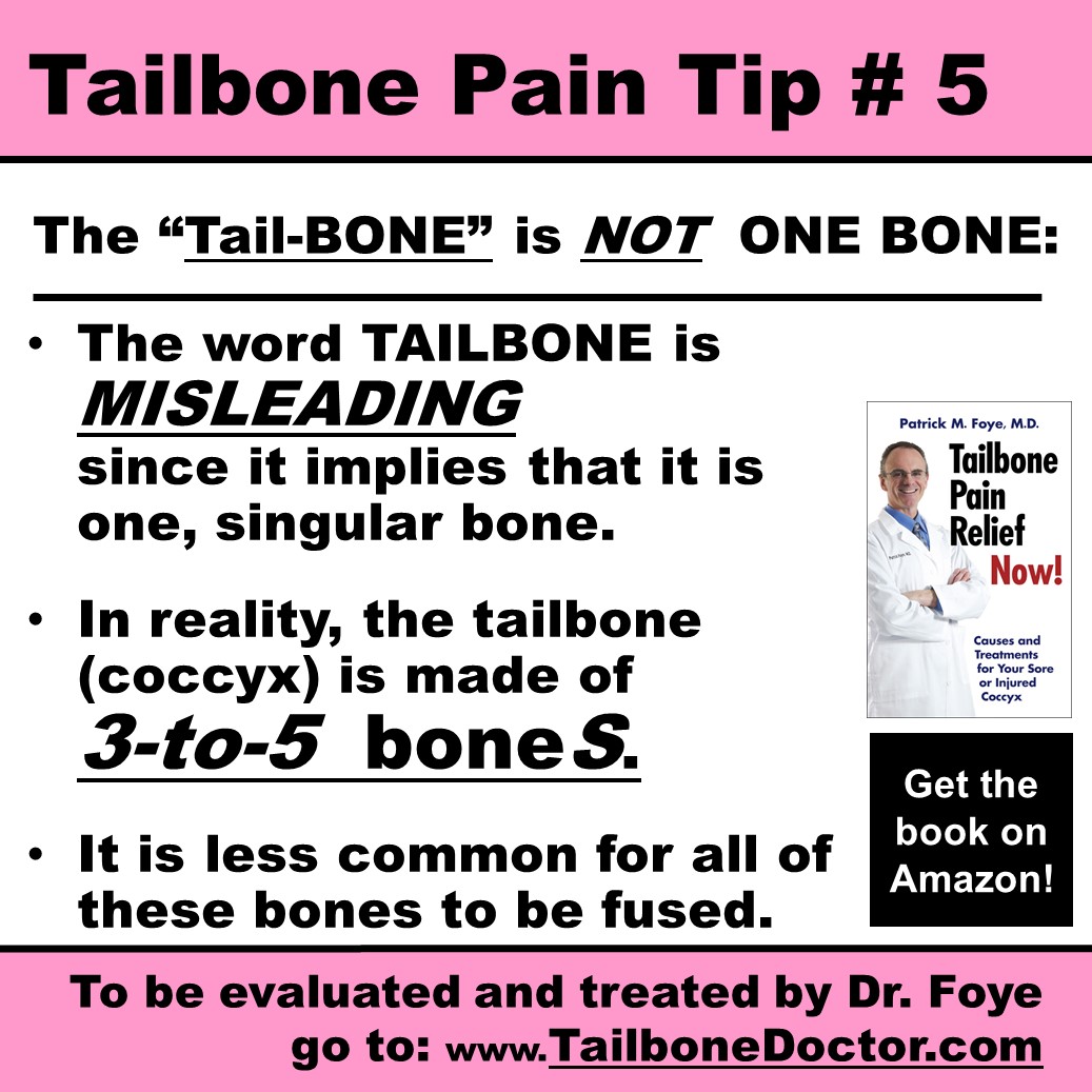 The “Tail-BONE” is NOT just ONE BONE: | Tailbone Doctor